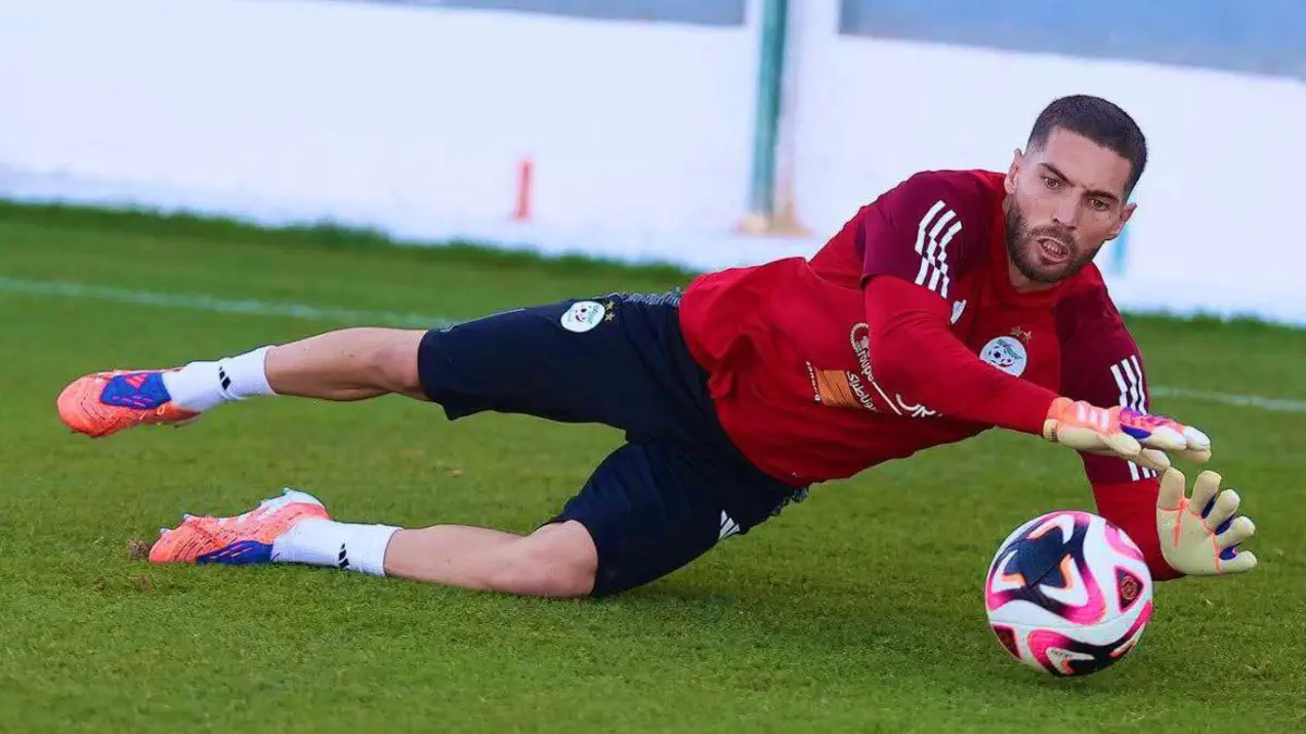 2026 World Cup - Algeria: "We will secure qualification," says Luca ...
