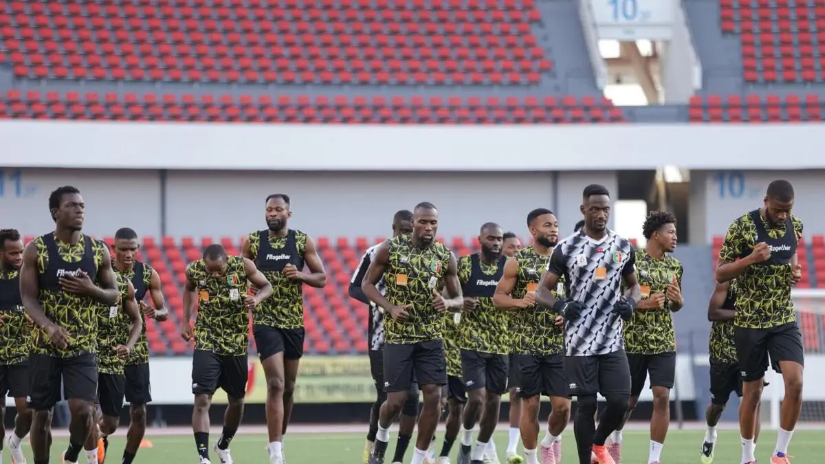 Mali vs Madagascar: a clash with different ambitions - Foot Africa