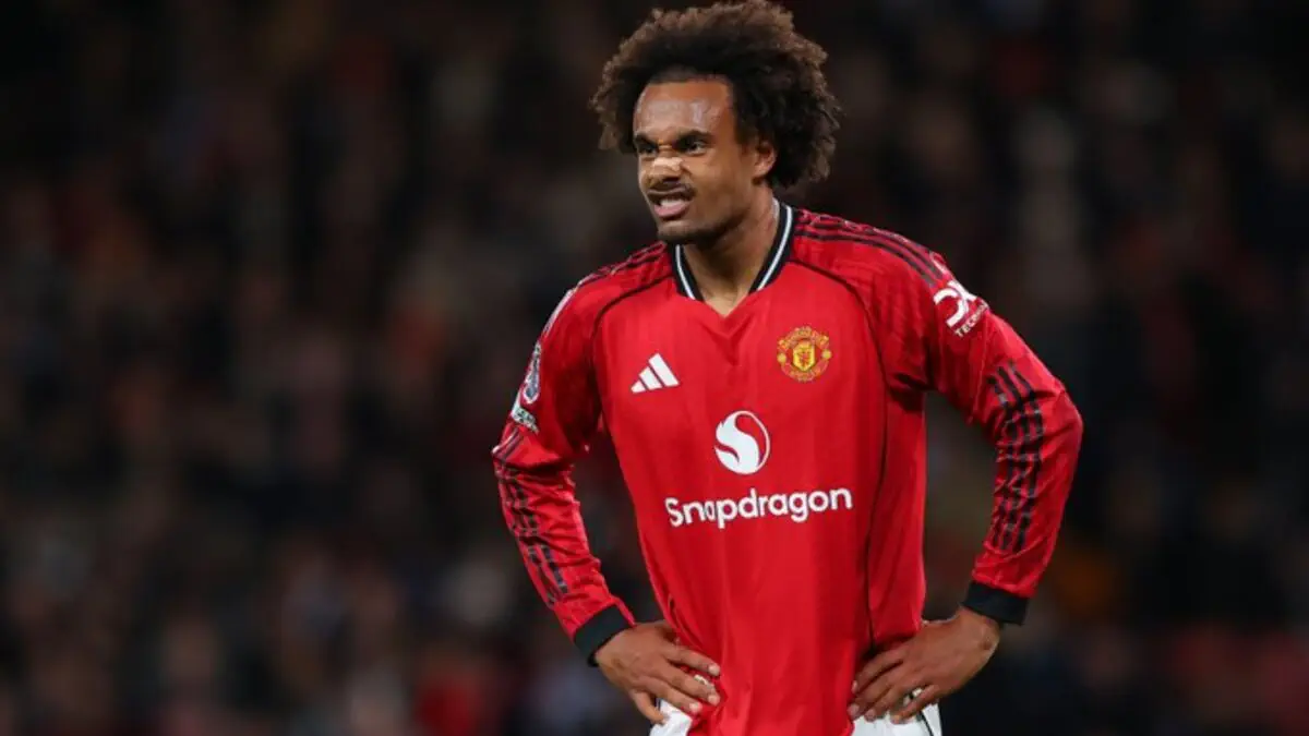 Seville moves for Joshua Zirkzee - Foot Africa