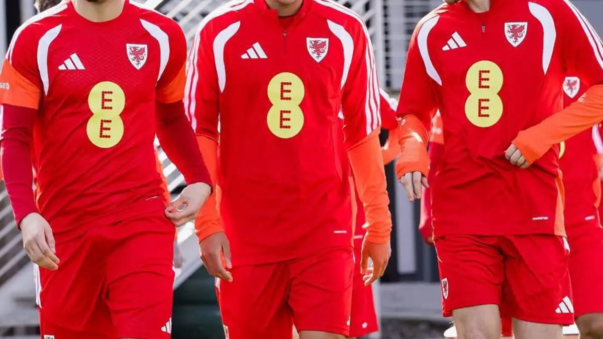 Ghana: against Wales, the Black Stars face a true test of British ...